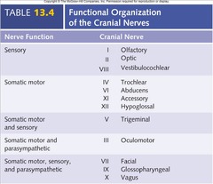 cranial nerves function in order