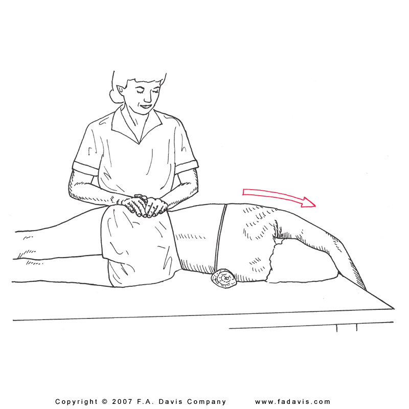 Spine: Kinesthetic, Mobility and Flexibilty Considerations